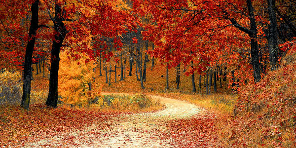 25 Reasons Fall Is The Best Season - SeasonedPros